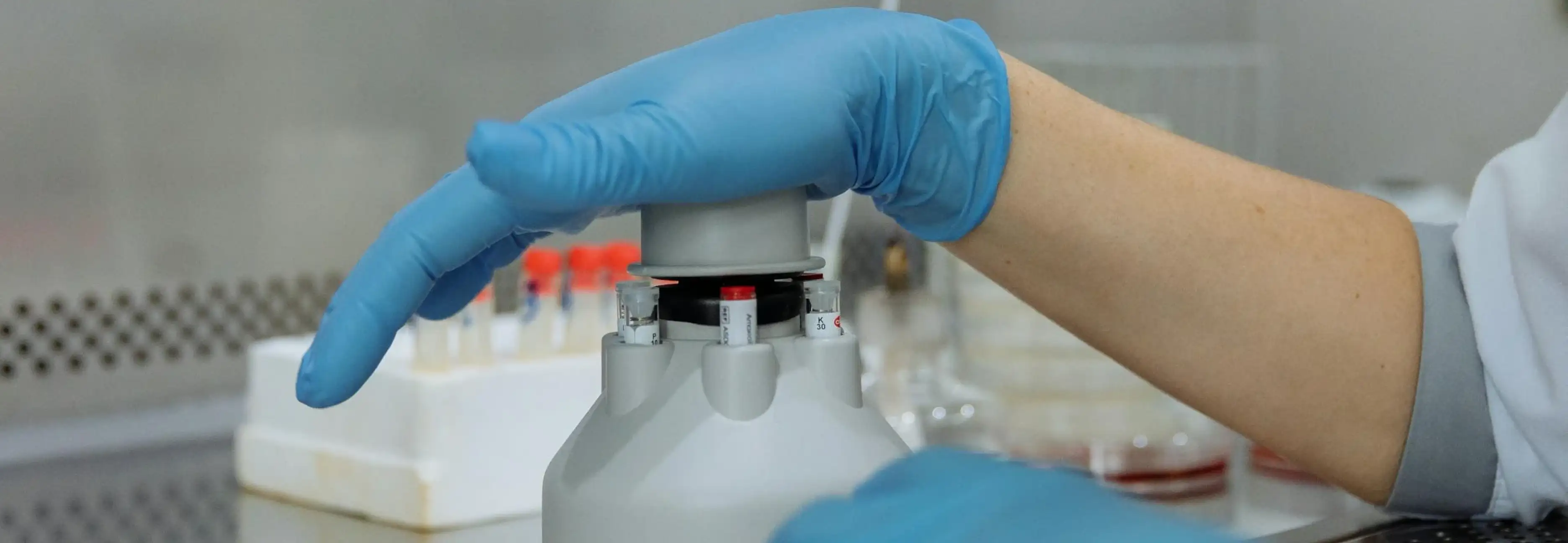 Bachelor of Biomedical Sciences | Courses | Maximax Education ...